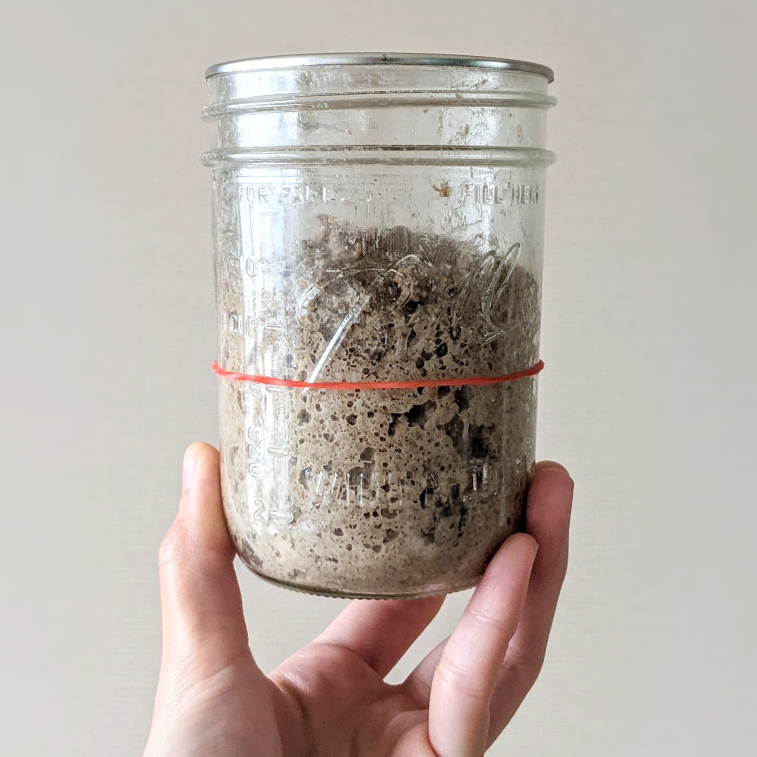 Leopard Crust Sourdough Pizza Dough (Updated 2023) – Leopard Crust Pizza