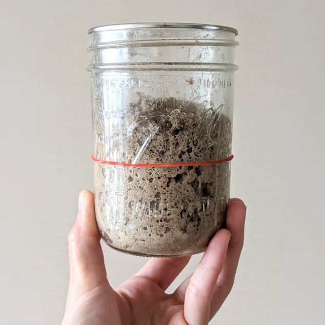 Leopard Crust Sourdough Pizza Dough (Updated 2023) – Leopard Crust Pizza