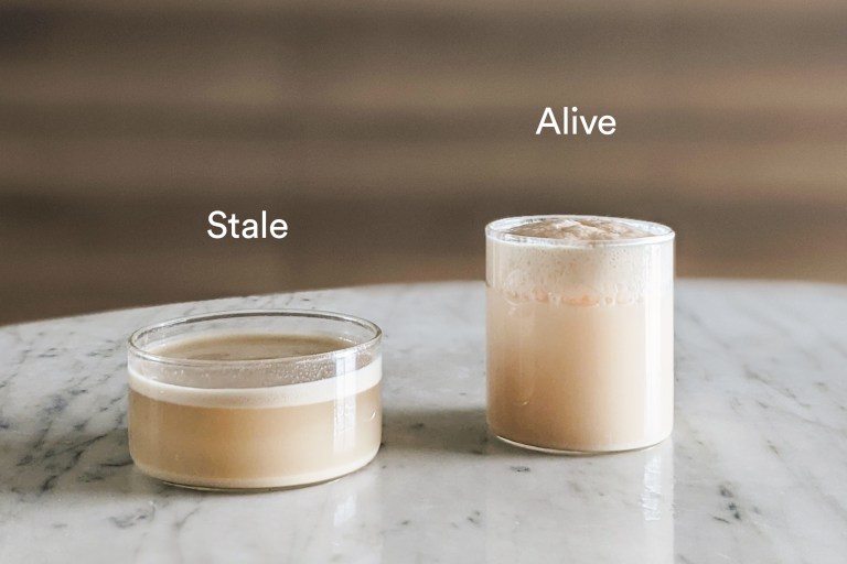 How to check if your yeast is still alive and good for baking with ...