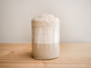 How to check if your yeast is still alive and good for baking with ...