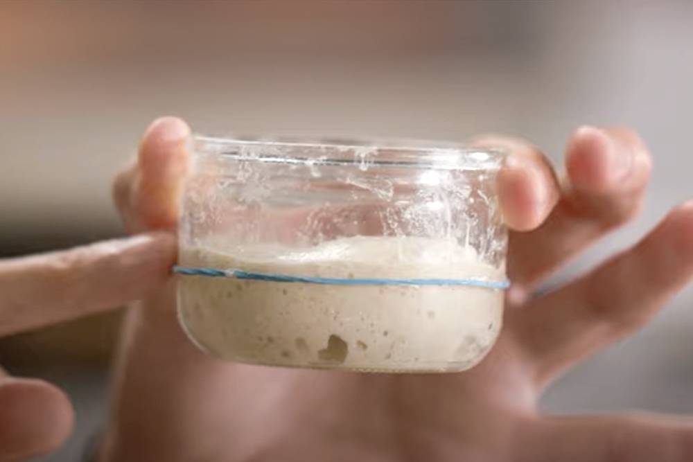 Leopard Crust Sourdough Pizza Dough (Updated 2023) – Leopard Crust Pizza