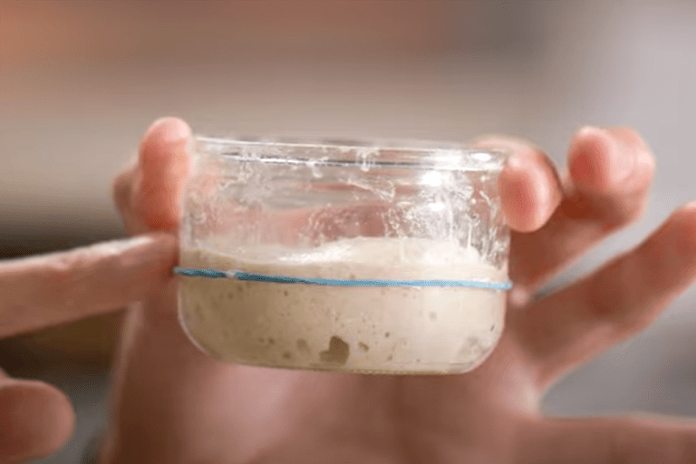 Leopard Crust Sourdough Pizza Dough (Updated 2023) – Leopard Crust Pizza